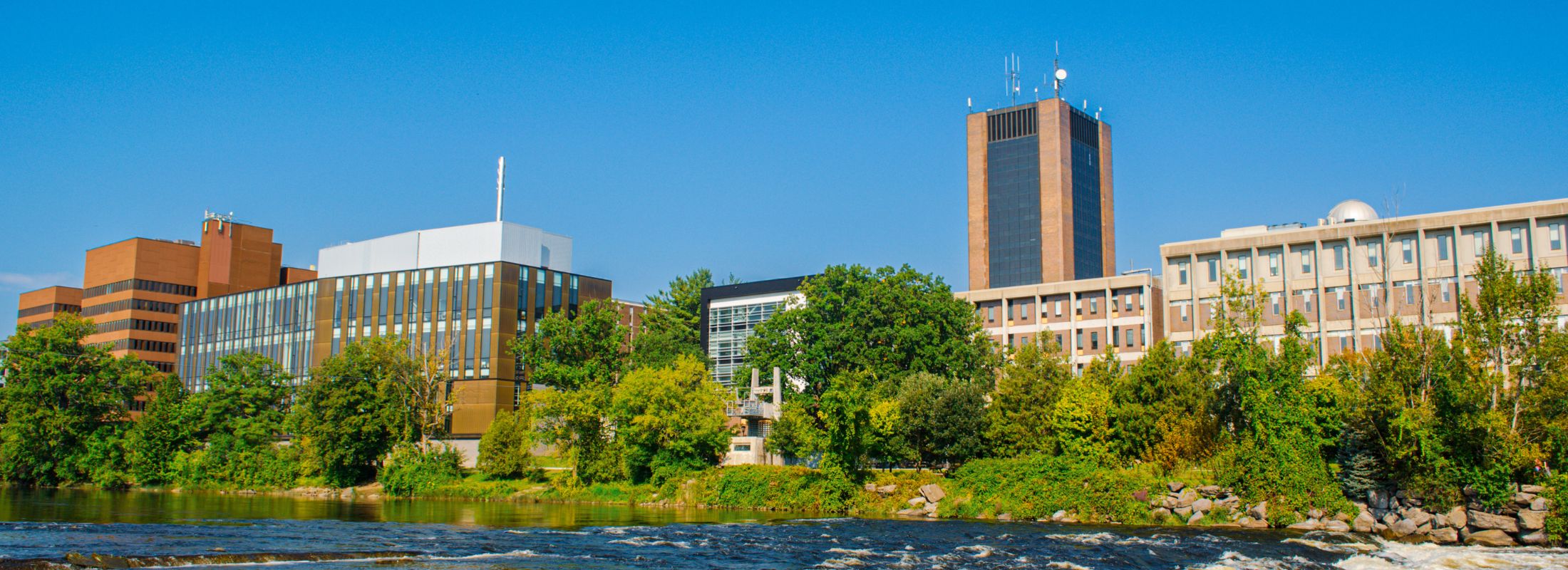 Our Team - Housing and Residence Life